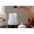 Better Homes & Gardens 250 mL Felicity Essential Oil Diffuser - Walmart.com