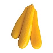 Outsidepride Castor Bean Ricinus Communis Gibsonii Seeds - 100 Seeds ...