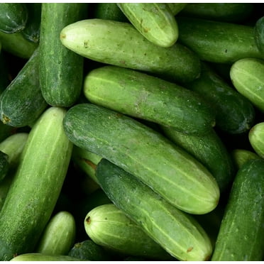 Garden Sweet Burpless Cucumber Heirloom Premium Seed Packet - Walmart.com