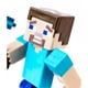 Minecraft Comic Maker Steve Action Figure with 2 Faces - Walmart.com