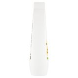 Matrix Biolage Frizz Control & Humidity Resistant Smooth-proof Daily ...