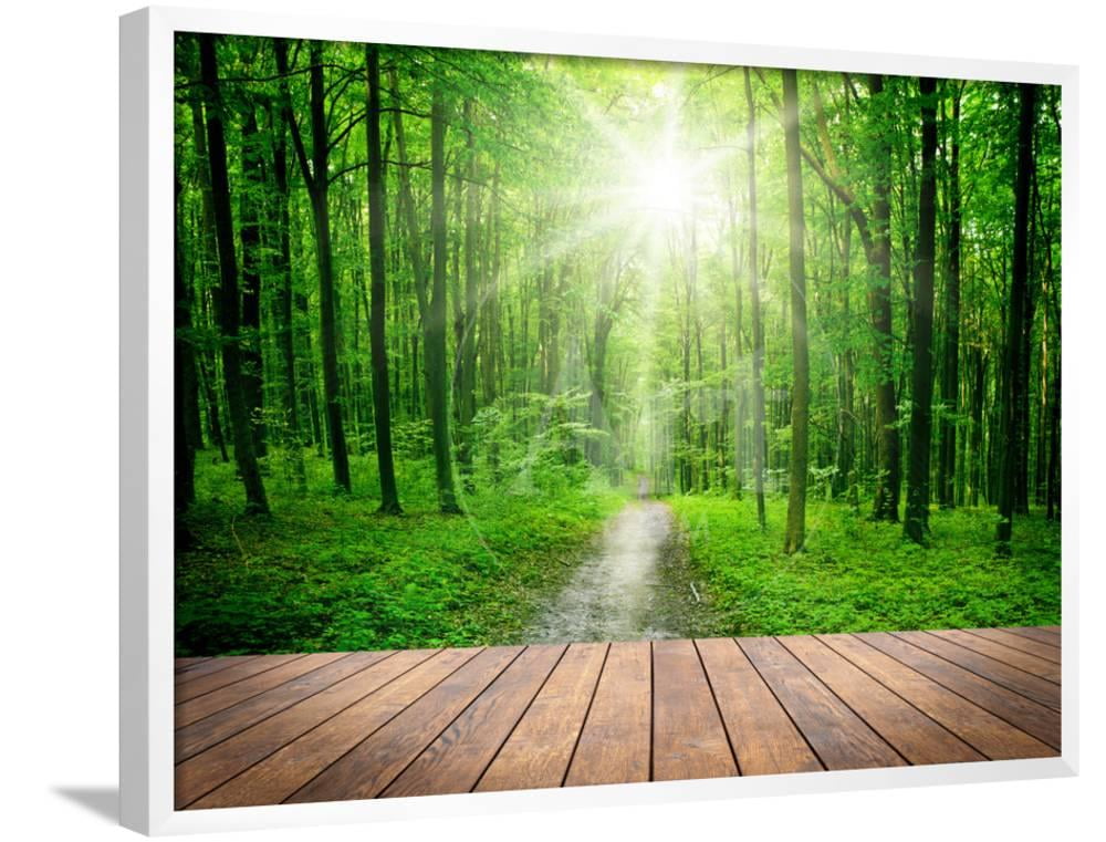 Wood Textured Backgrounds in a Room Interior on the Forest Backgrounds ...