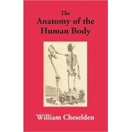 Force Drawing: Force: Drawing Human Anatomy (Paperback) - Walmart.com