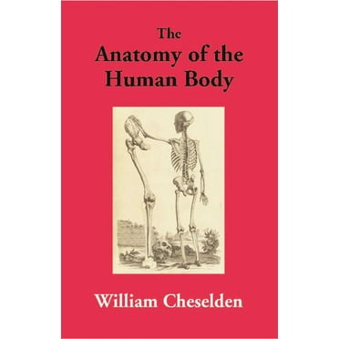 Force Drawing: Force: Drawing Human Anatomy (Paperback) - Walmart.com