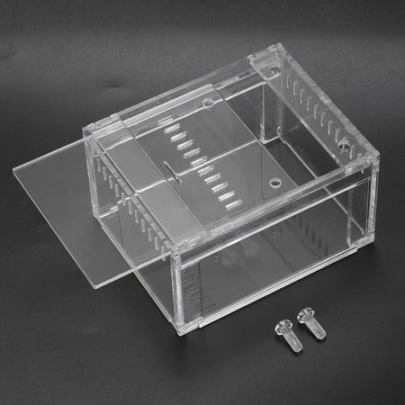 Hilitand Insect Tank, Acrylic Reptiles Terrarium, For Turtles Snakes ...