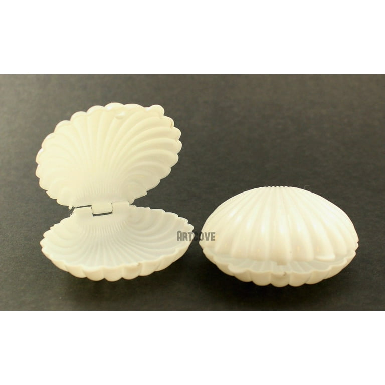 White Clam Shell