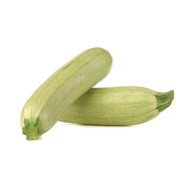 Squash SEEDS =Summer White Zucchini Squash -Bianco di Trieste- 20 Seeds ...