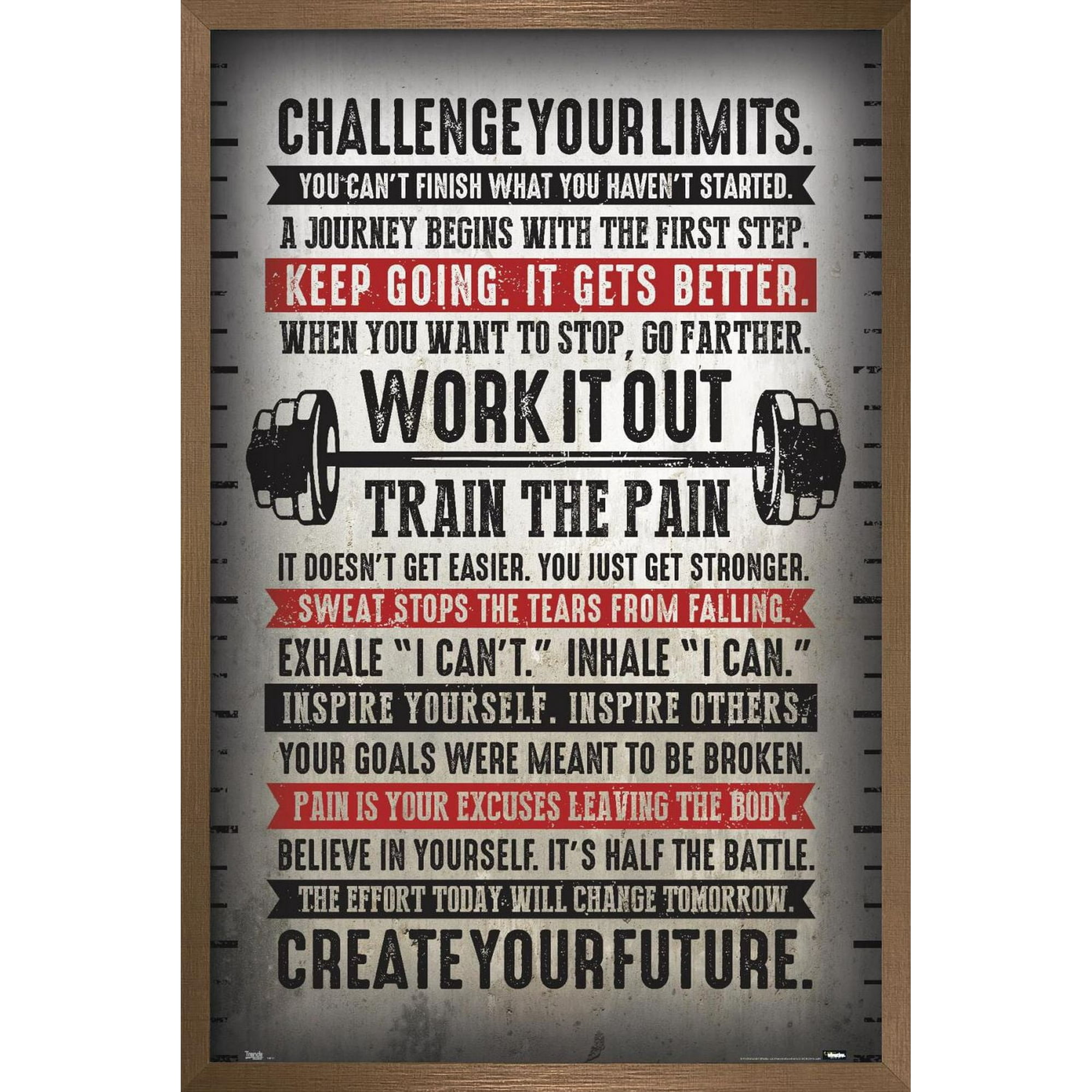 Click here for Trends International Challenge Your Limits Wall Po... prices