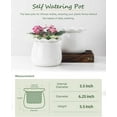 Self Watering Plant Pot, 6 Inch African Violet Pots Maintenance ...