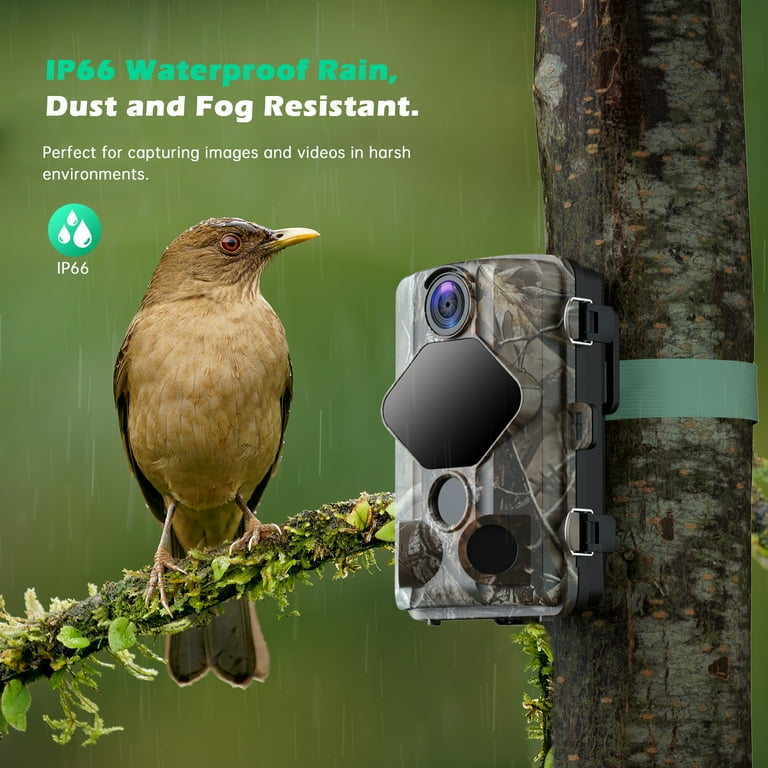 Deer Motion Sensor Camera