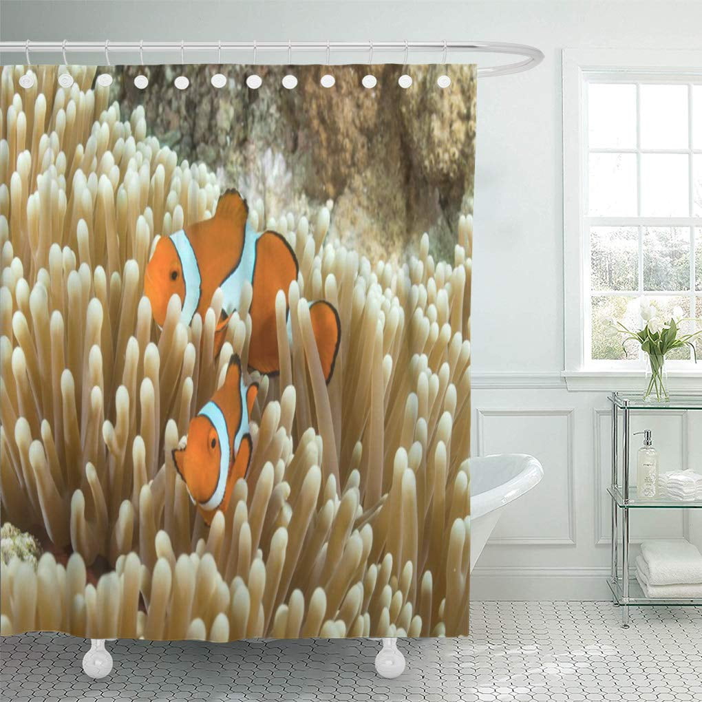 CYNLON Reef Cute Clownfish Wrapped Ocean Clown Fish Coral Tropical ...