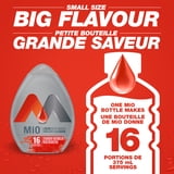 MiO Strawberry Watermelon Liquid Water Enhancer, 48mL - Walmart.ca