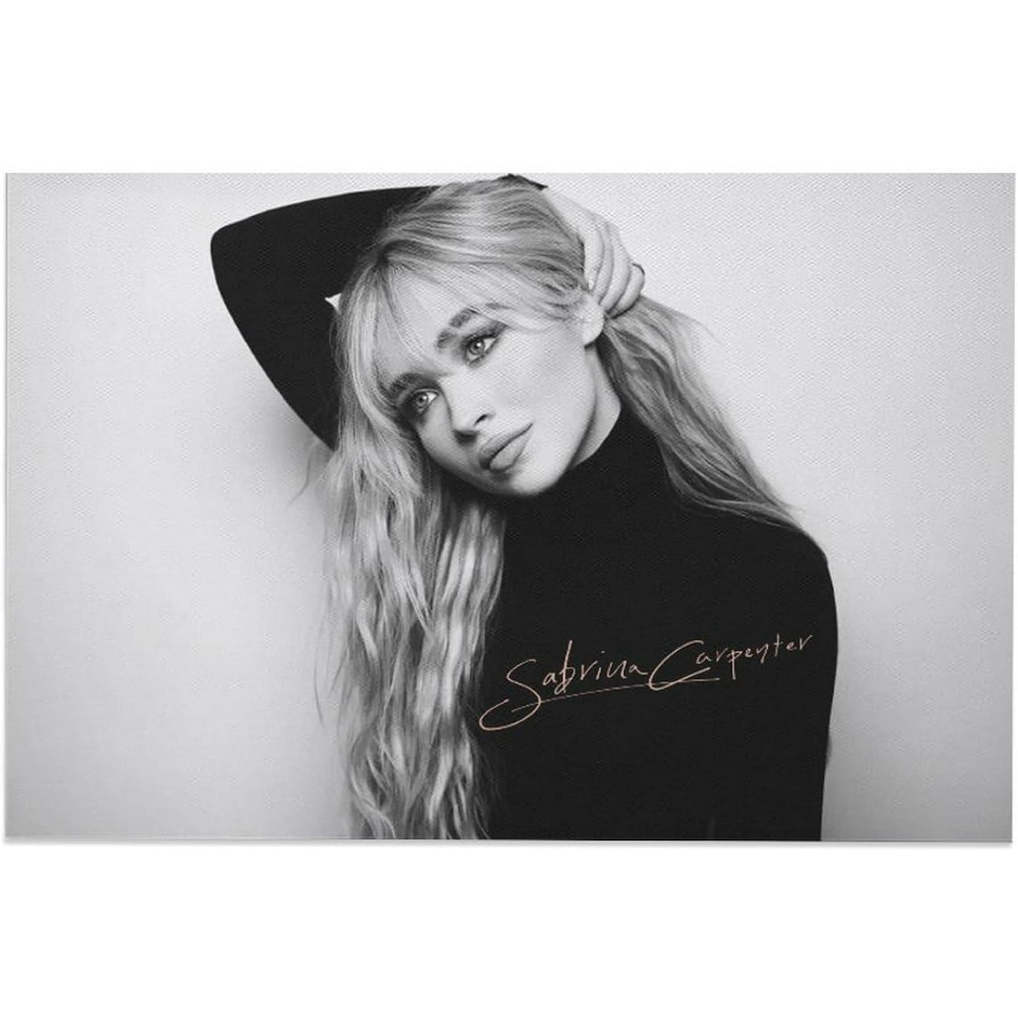 Click here for Pphaosho Sabrina Carpenter Poster Frameless Painti... prices
