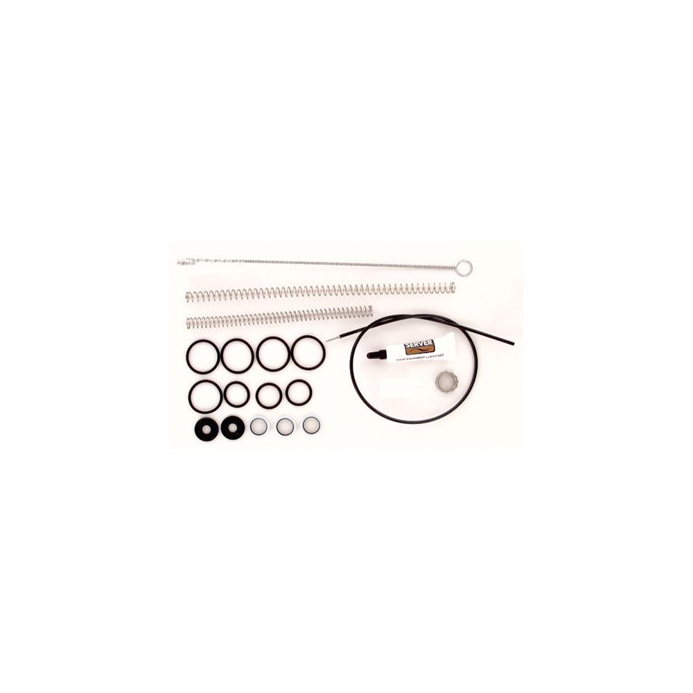 Server Products 82898 Replacement Pump Parts Kit - Walmart.com ...