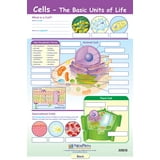 Cells Bulletin Board Chart Set - Set of 7 - Walmart.com