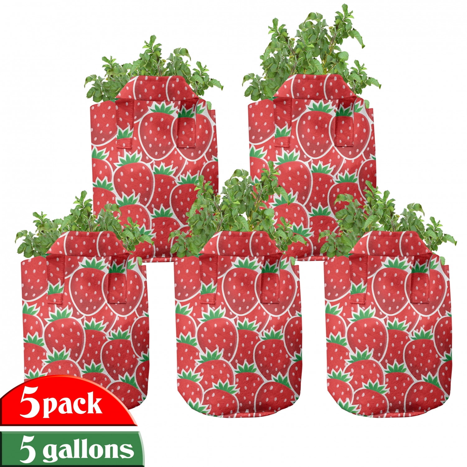 Fruits Grow Bags 5-Pack, Yummy Strawberry Botany, Heavyduty Fabric Pots ...