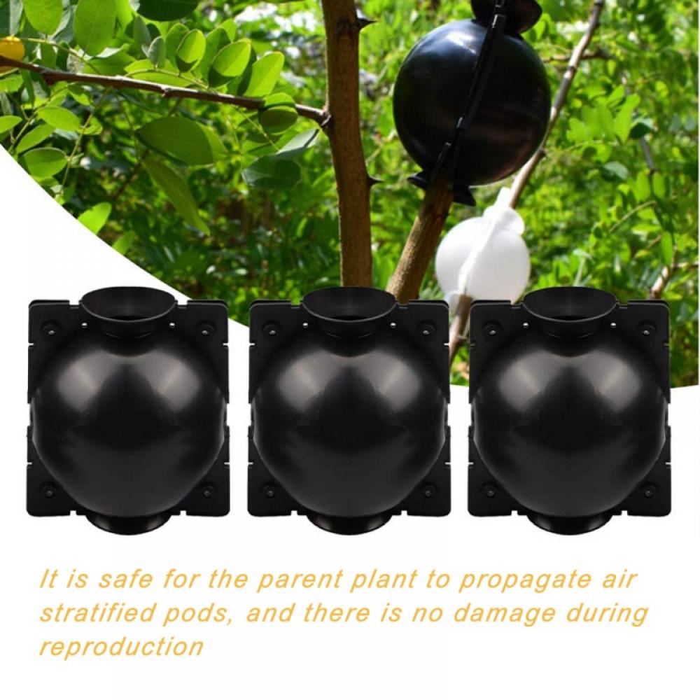 SweetCandy Plant Grafting Box Culture Box Plant Root Device Garden High ...