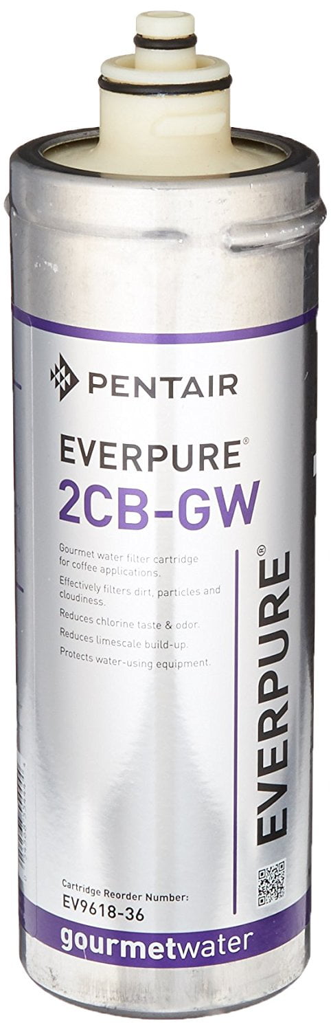 Everpure EV9618-36 2CB-GW Replacement Filter Cartridge - Walmart.com