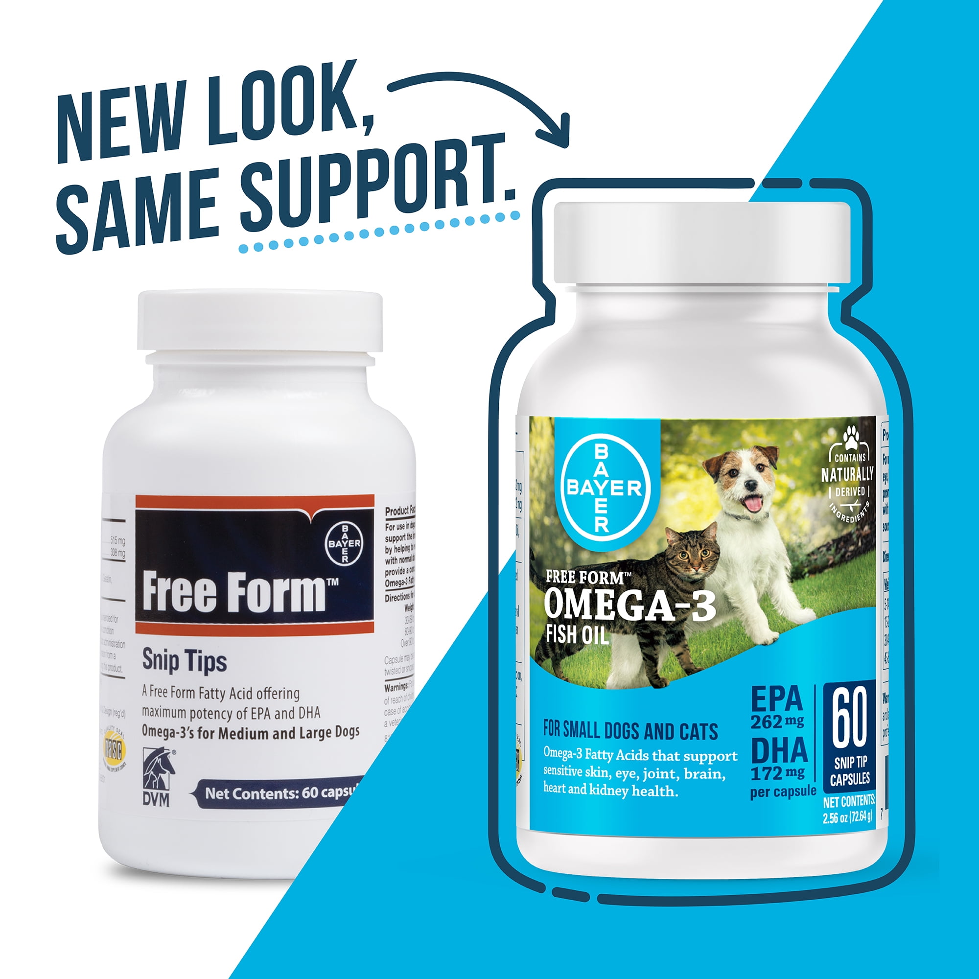 When Can Dogs Have The Snip