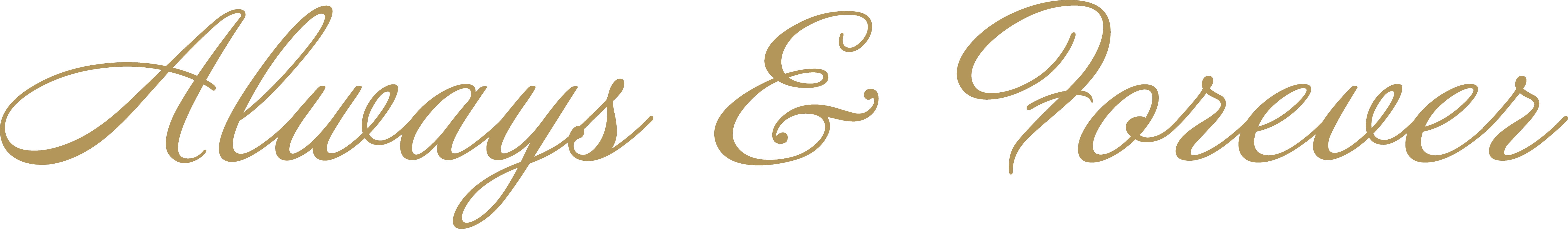 Gold 22" x3" Picniva ALWAYS & FOREVER sty 2 Quotes Sayings Words Art ...