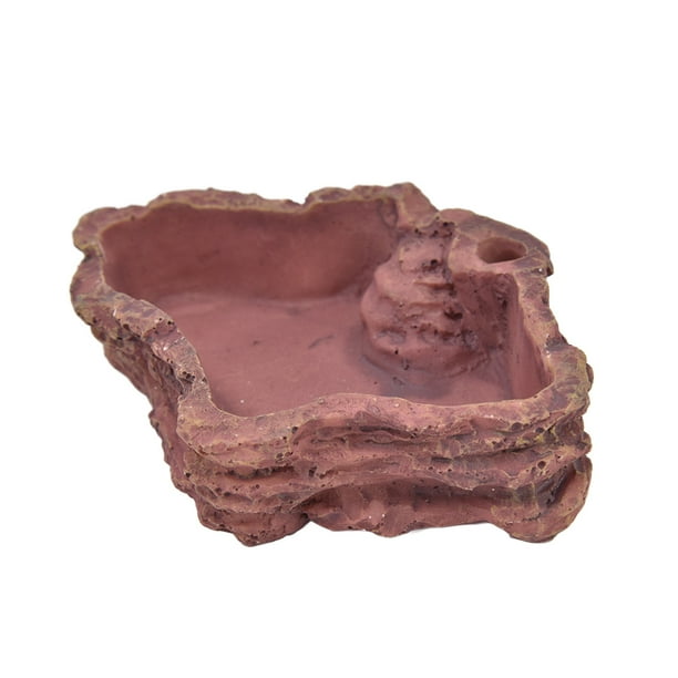 Reptile Dish