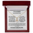 Alluring Beauty I'm Sorry Please Forgive Me Women's Apology Necklace ...