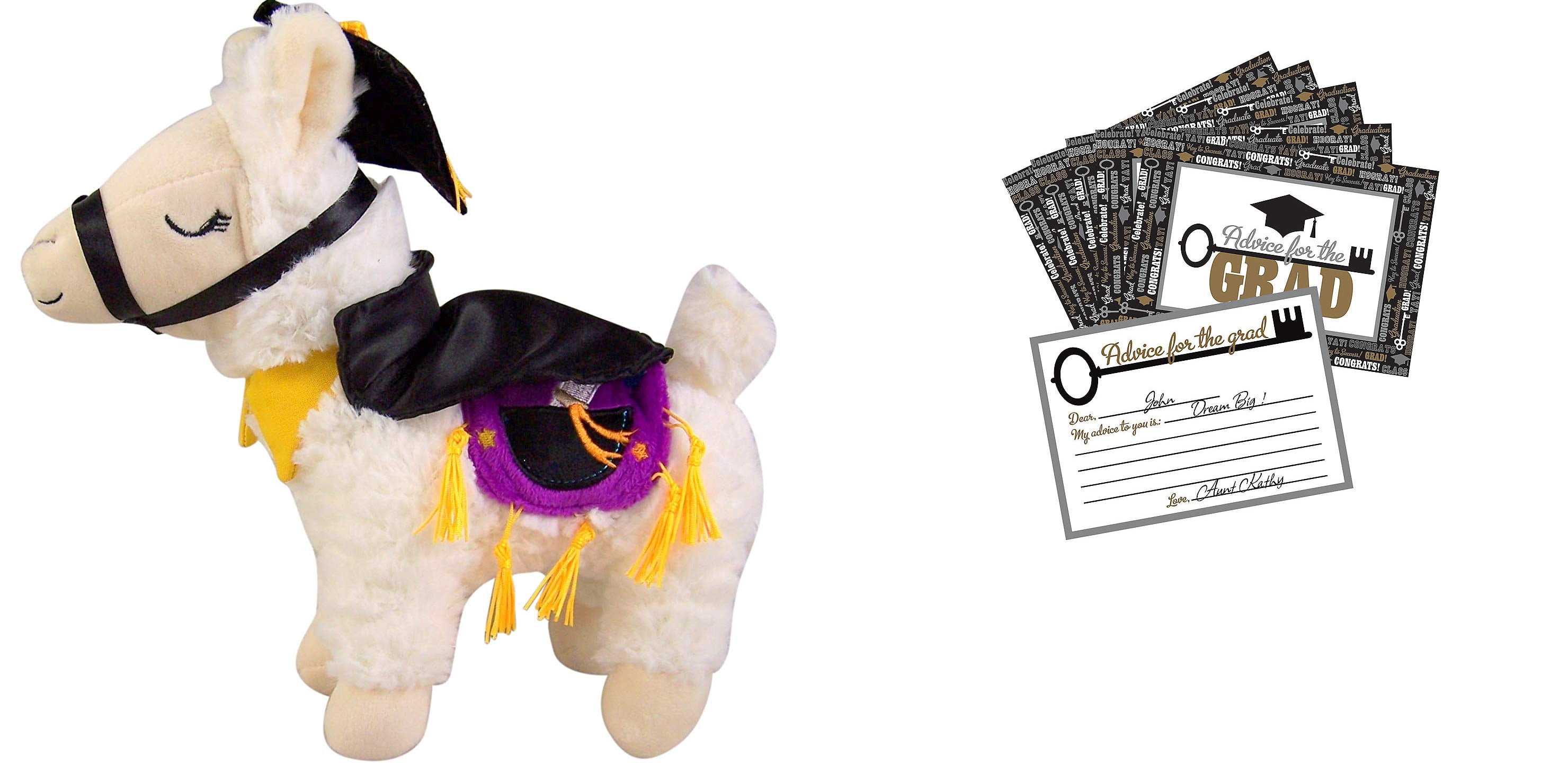 Graduation Decor 10" Llama and 24 Grad Advice Cards For The Party Table ...