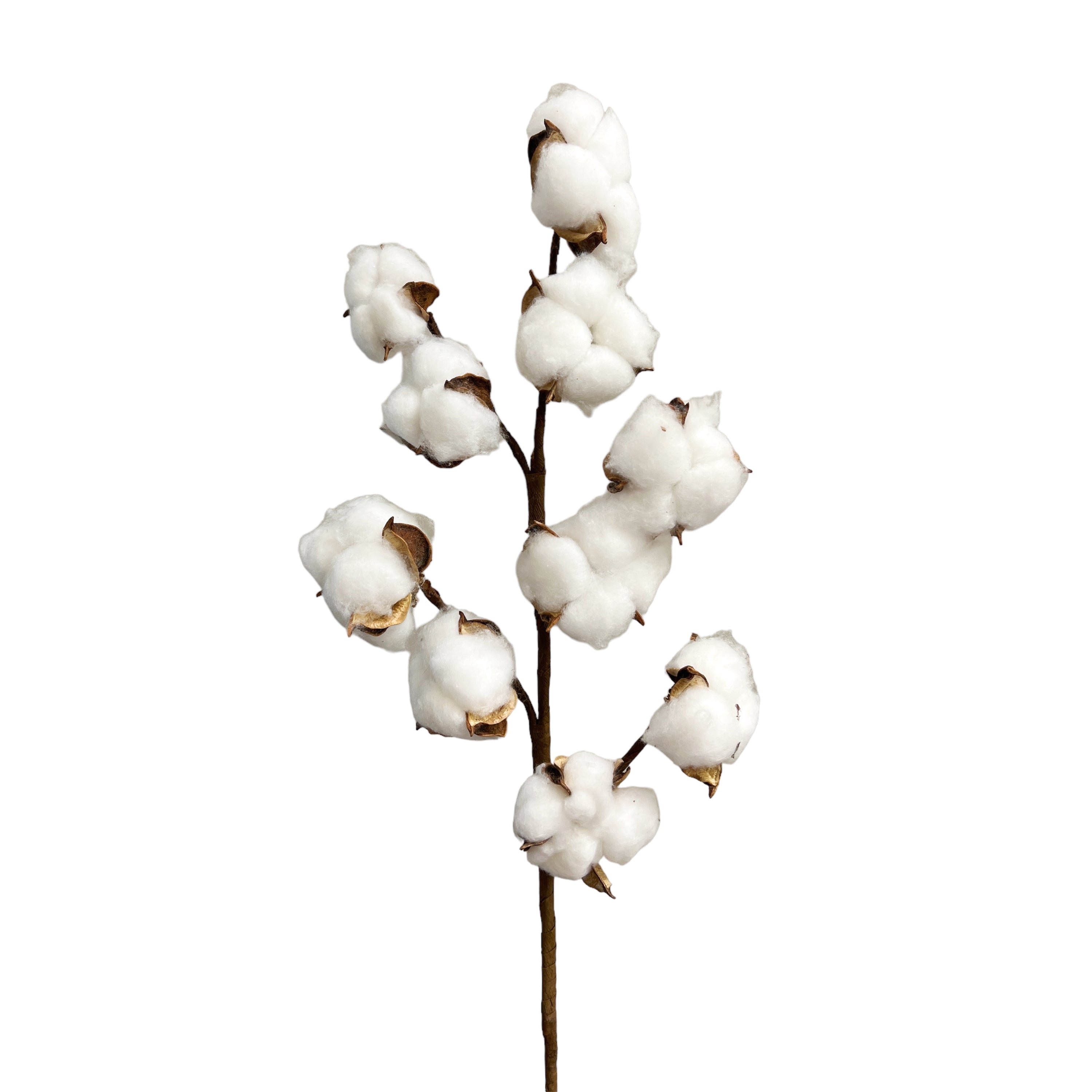 21-Inch Tall Artificial Cotton Flower Stem with 10 Cotton Bolls per ...