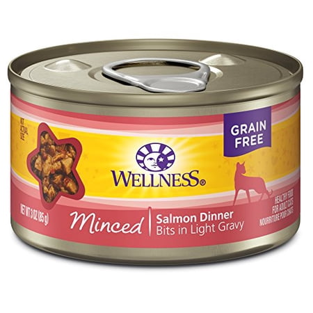 Wellness Natural Canned Grain Free Wet Cat Food, Minced Salmon, 3-Ounce ...