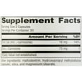 Source Naturals - GastricSoothe with Zinc L-Carnosine Complex 37.5 mg ...