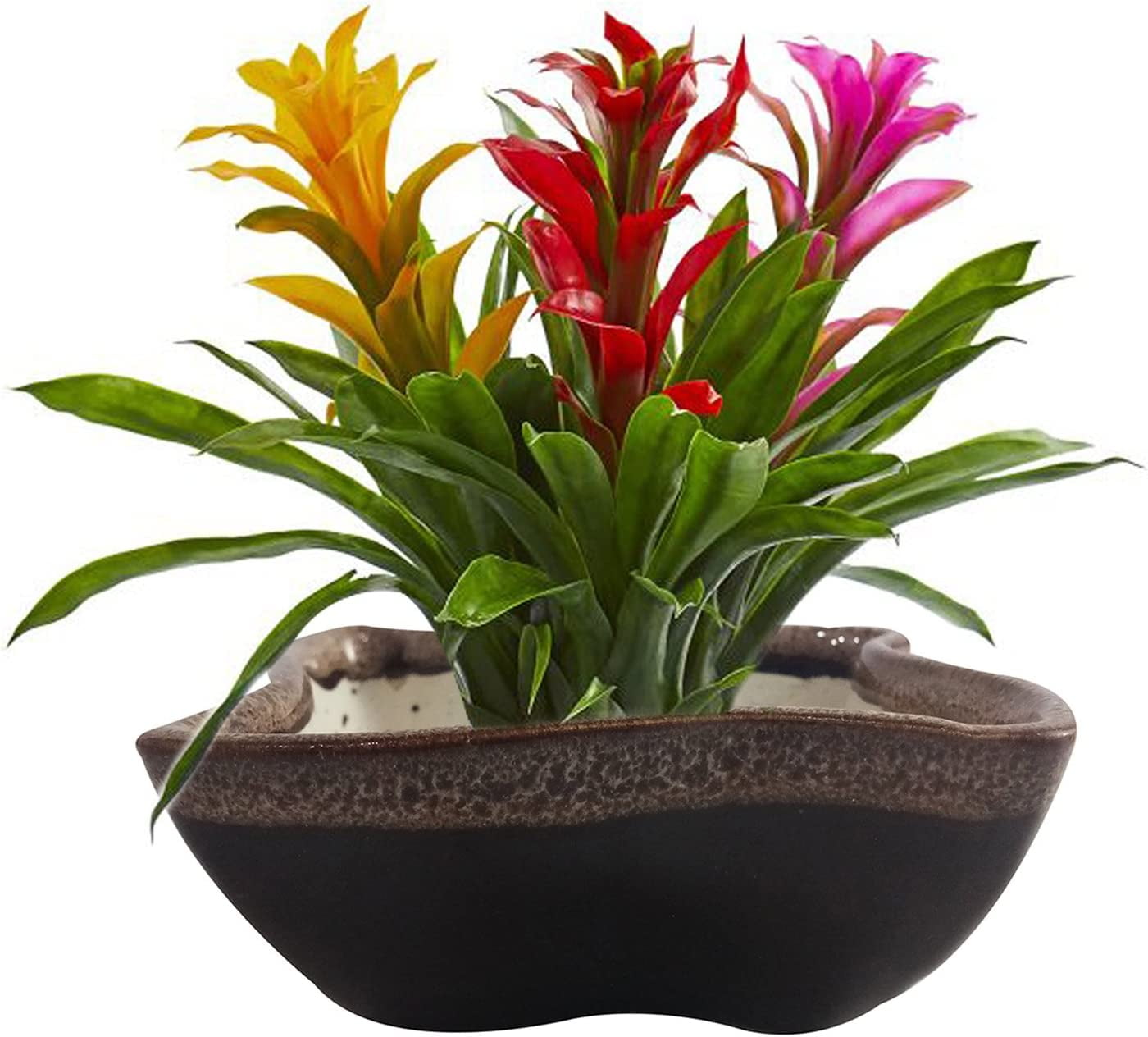 India Meets India Handicraft Ceramic Flower Pots Ceramic Planter Plant ...