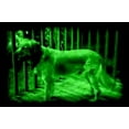 SpyX Night Hawk Scope - Real Infrared Night Vision Lets You See up 50 ...