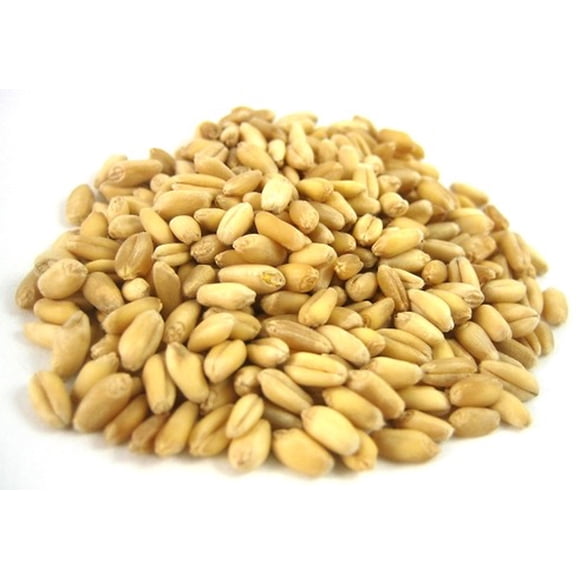 Wheat Grain | Walmart Canada