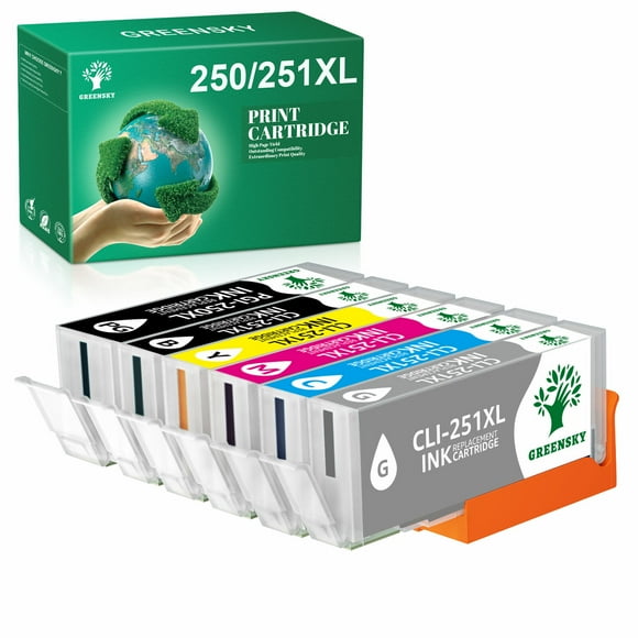 Canon Ink 250 251 Cartridges