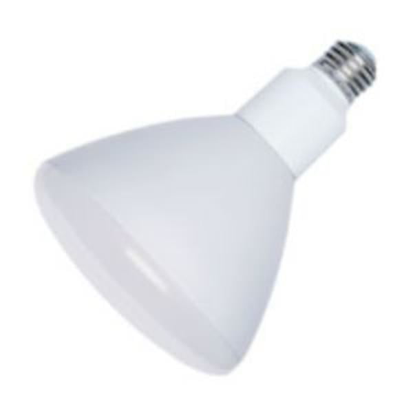 R40 Pool Light Bulb Led | Shelly Lighting