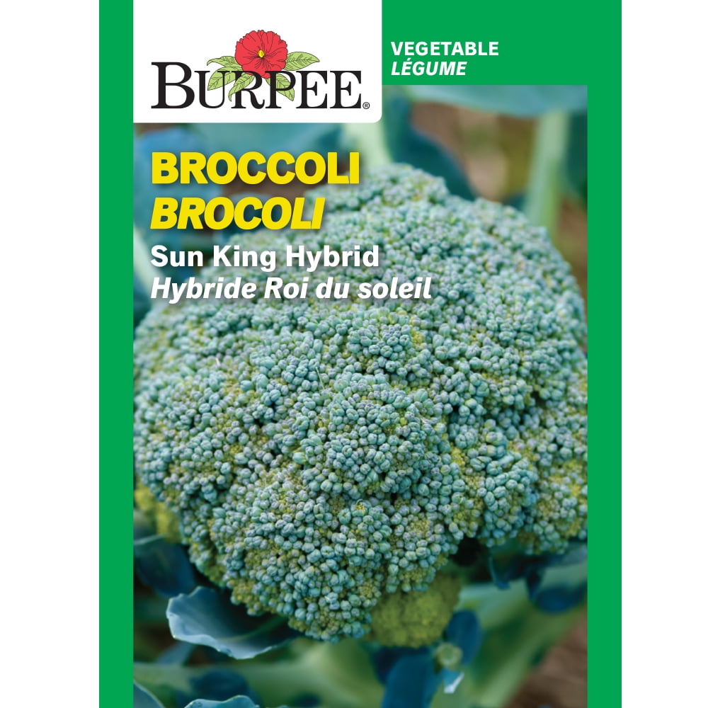 Click here for Burpee Canada Burpee Sun King Hybrid Broccoli prices