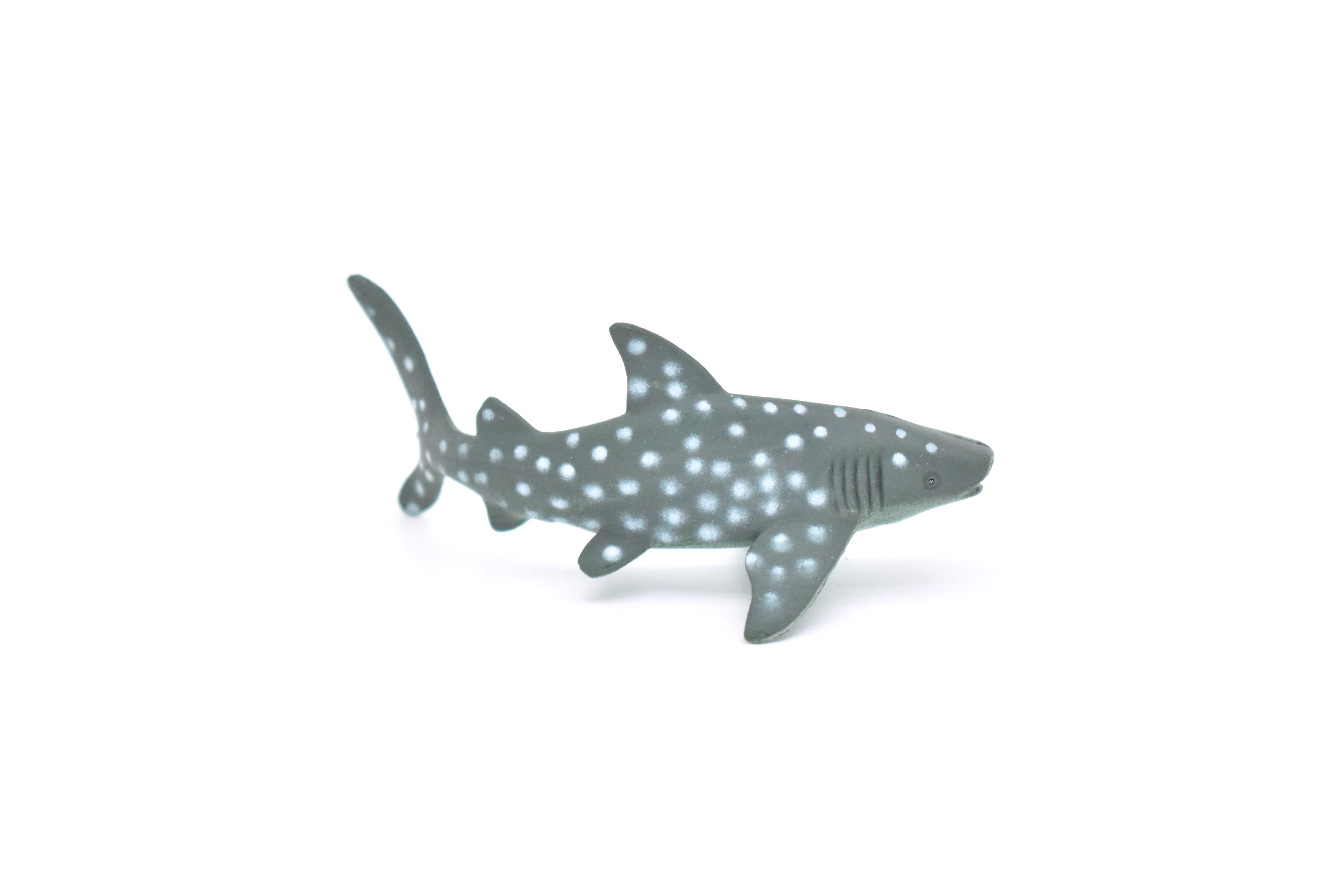 Whale Shark, Curved, Very Nice Plastic Replica 3" - F235 B76 (1 PACK ...