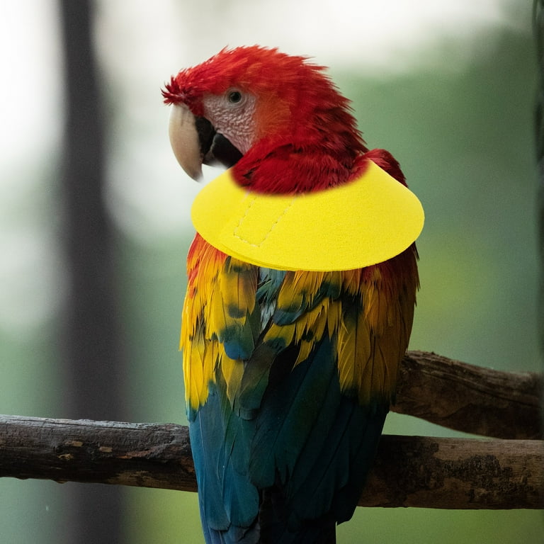 Prevent Plume Plucking Bird Collar Reusable Parrot Neck Cone Anti bite Pet Bird Collar Bird Supply