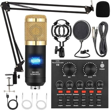 BM800 Condenser Studio Mic Kits: Starter Set, Professional Setup, Music ...