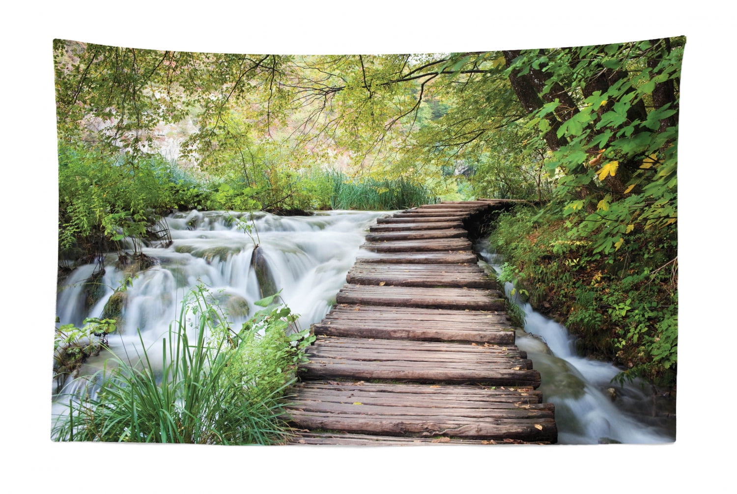 Nature Tapestry, Park Summertime Scenic View Environment Ecology Nature ...