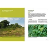 Midwest Foraging - Paperback - Walmart.com