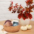 3 Pack Round Rattan Fruits Bread Baskets, Vintage Hand-woven Wicker ...