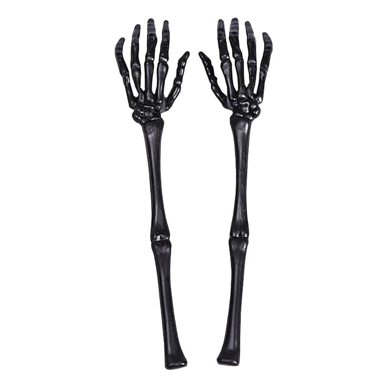 Real Skeleton Hand And Arm