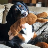 Snuggle Puppy Tender-Tuffs - Water Bottle Cruncher with Crinkle Action ...