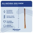Downtown Pet Supply Long Last Chewy Natural Bully Sticks, 100 ct Dog ...