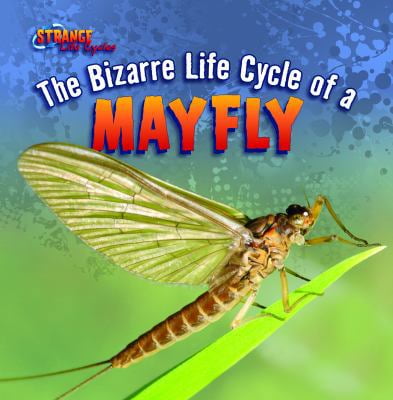 Pre-Owned The Bizarre Life Cycle of a Mayfly (Paperback) 143397052X ...
