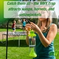 RESCUE! Non-Toxic Wasp, Hornet, Yellowjacket Trap (WHY Trap) Attractant ...