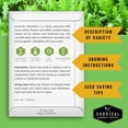 3 Packs Common Dandelion Seeds - Non-GMO Heirloom Perennial Full Sun ...