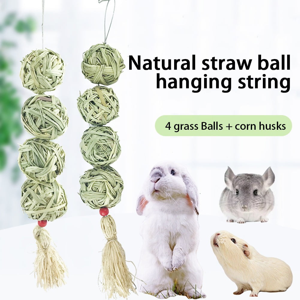 Chinchilla Ball