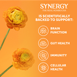 GT.S Synergy Real Kombucha Gingerade, 16 fl oz, Fermented Drink with ...